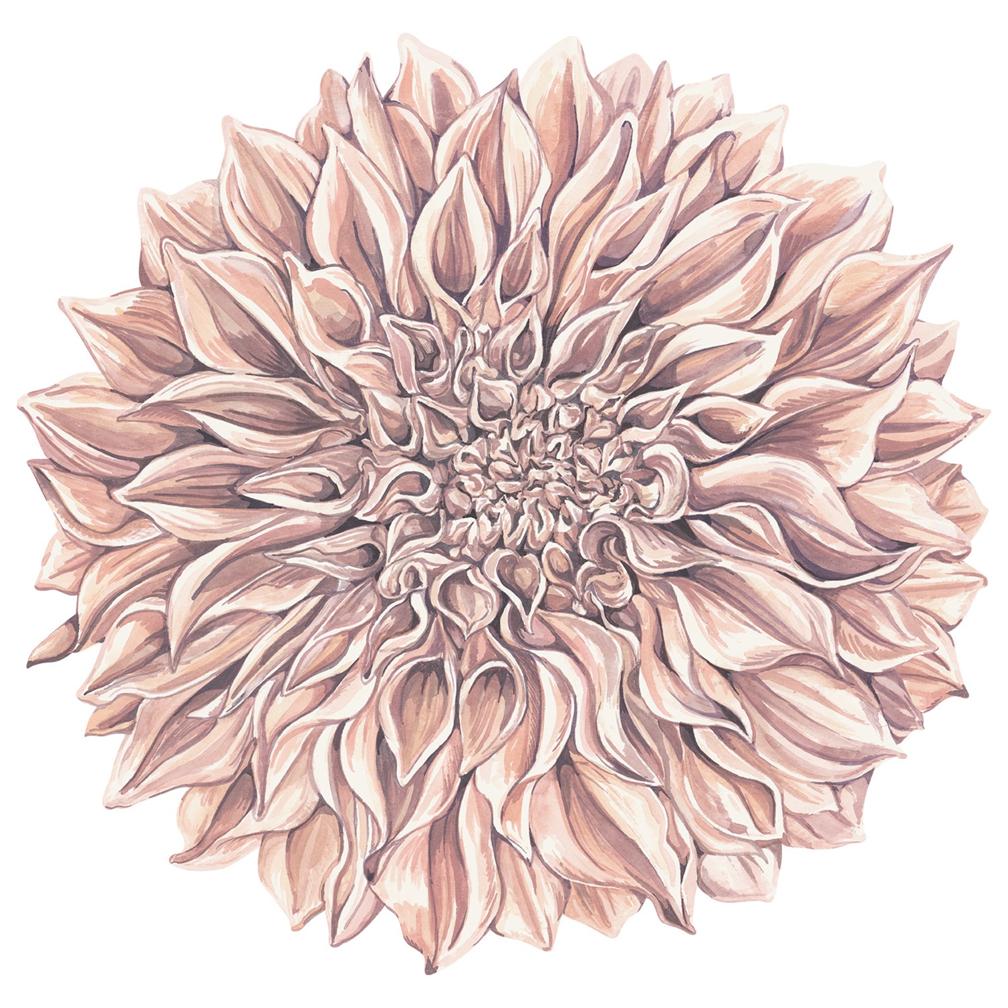 Hester & Cook Placemat Dahlia 12 sheets – Wells Trading Company