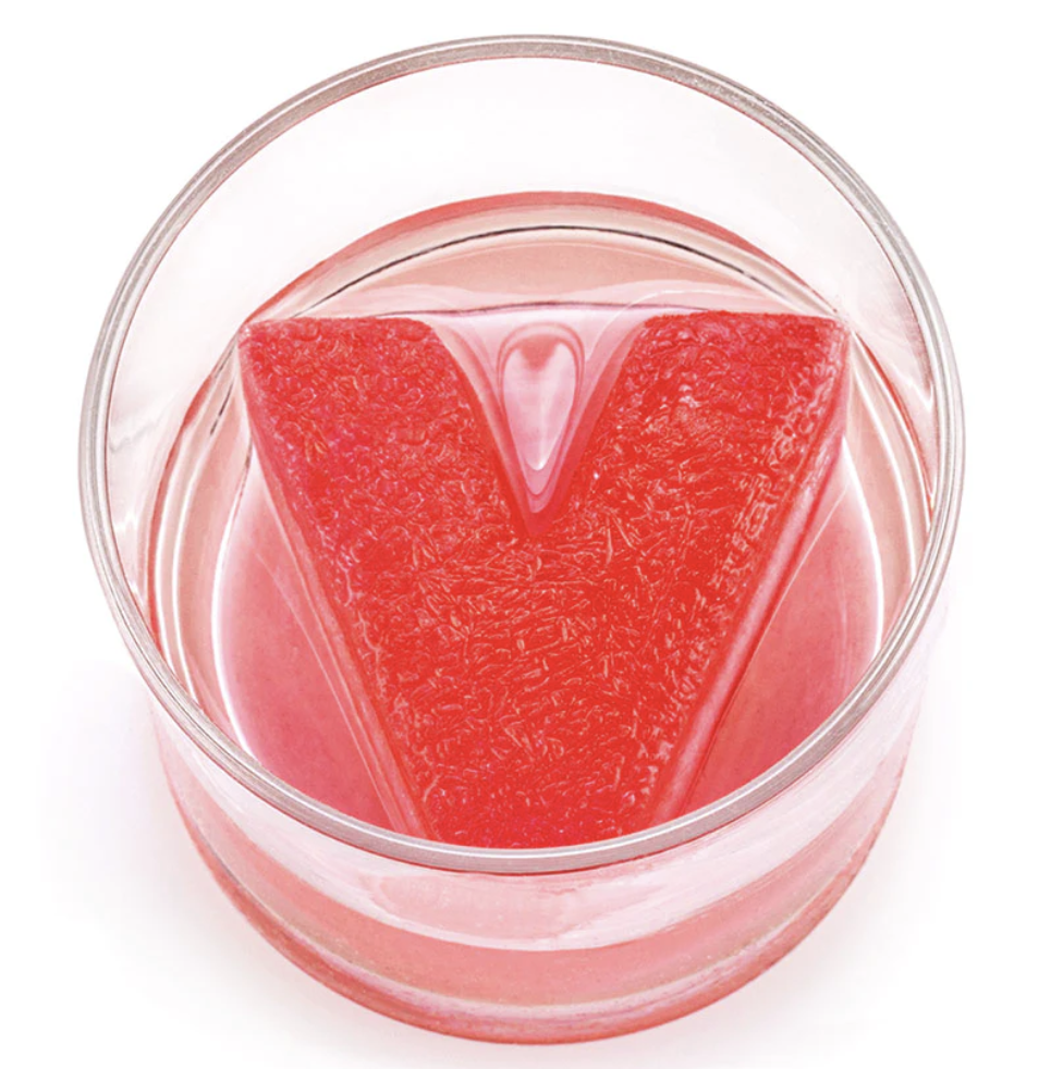 Alphabet Ice Cube Tray - V – Wells Trading Company